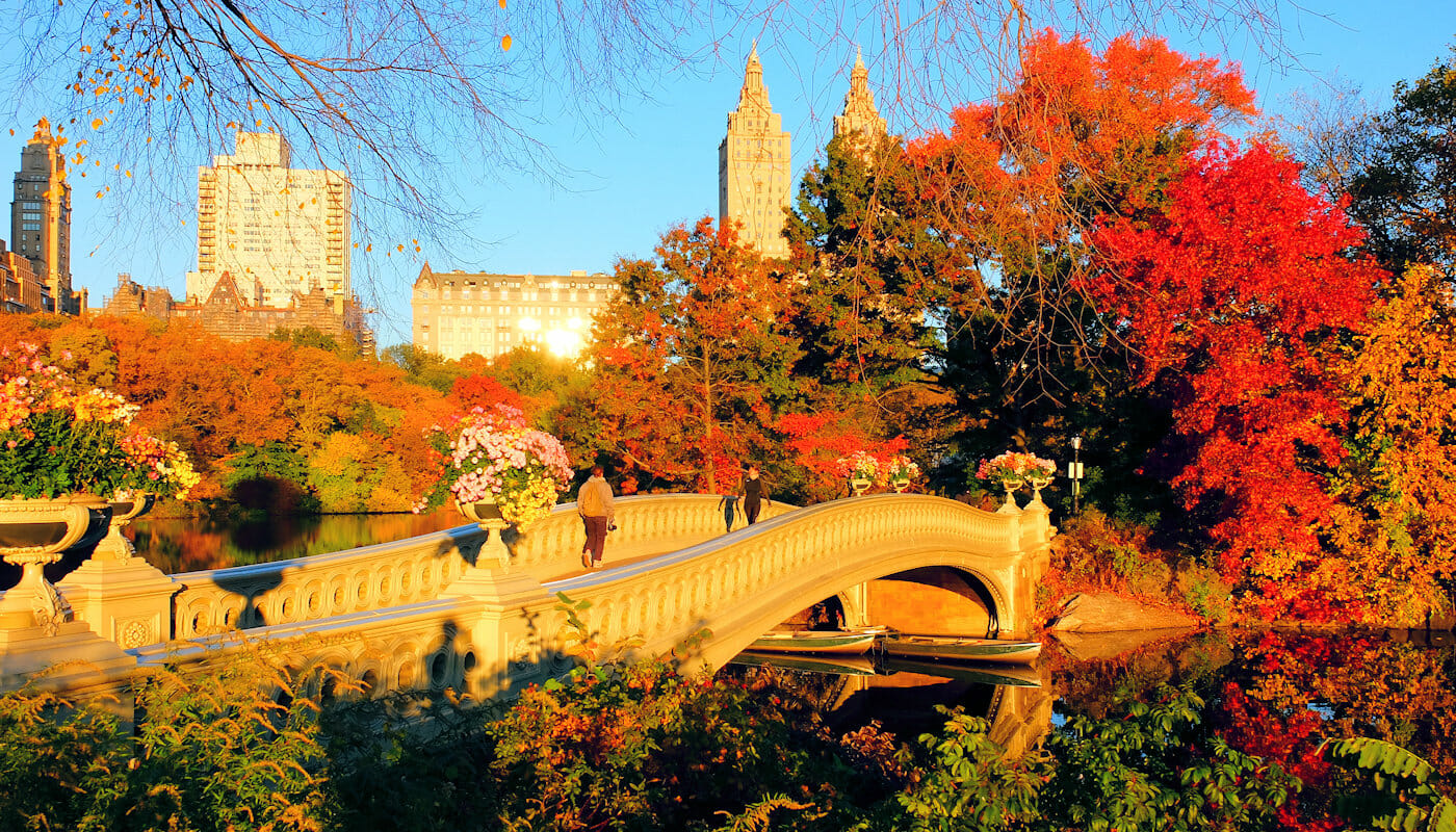 Weather in New York - NewYork.com.au